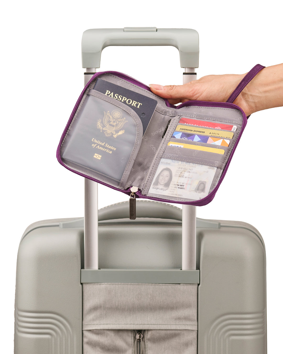 Convertible Pouch + ZipSafe Travel Organizer – Biaggi