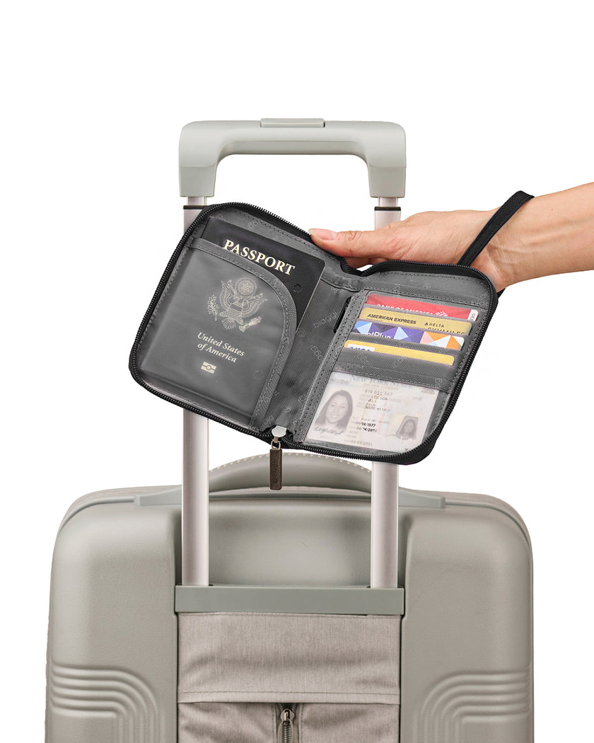 On-The-Go Hobo + Zipsafe Travel Organizer – Biaggi